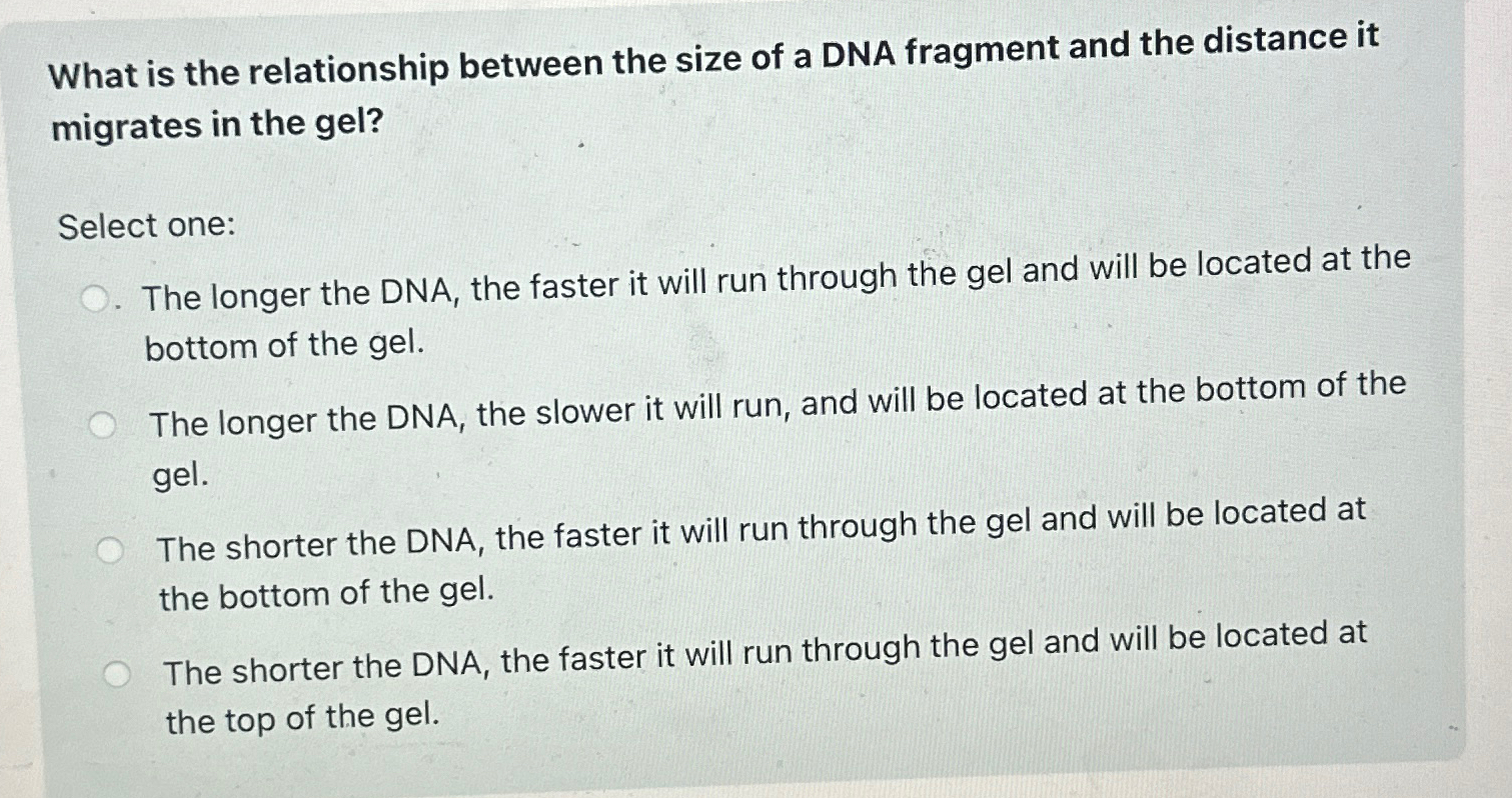 Solved What is the relationship between the size of a DNA | Chegg.com