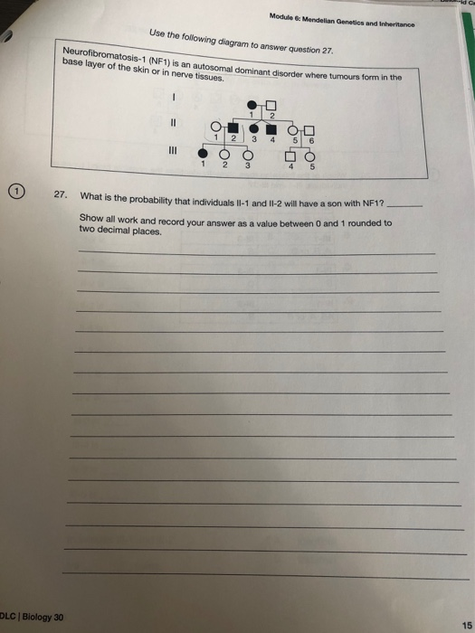 Solved Mode Mendelian Genetics and where Use the following | Chegg.com