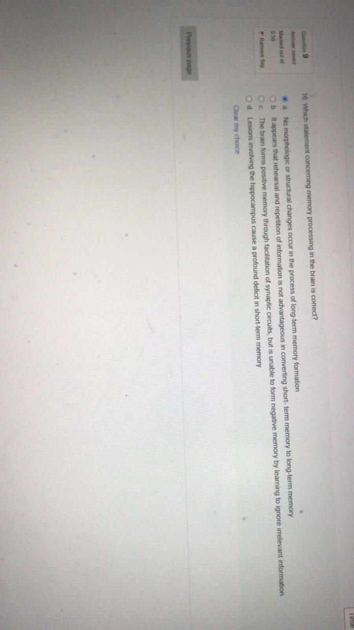 Solved 16. ﻿Which statement conceming memory processing in | Chegg.com