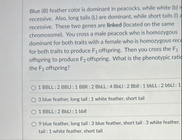 Solved Blue (B) ﻿feather color is dominant in peacocks, | Chegg.com