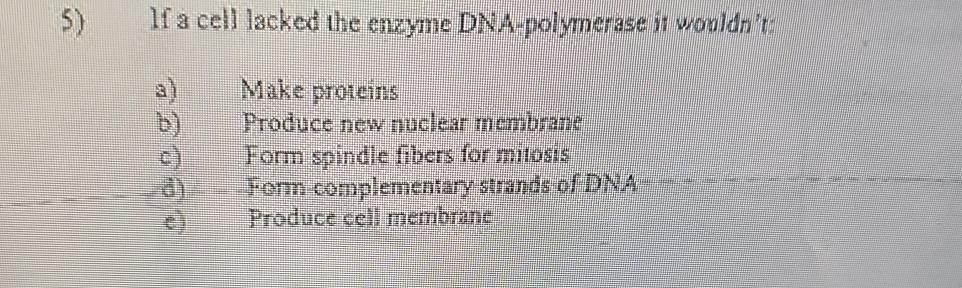 Solved If a cell lacked the enzyme DNA-polymerase in | Chegg.com