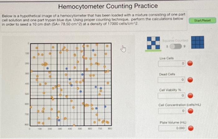 Solved Hemocytometer Counting Practice Below is a | Chegg.com