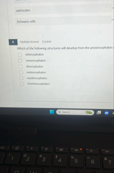 Solved Schwann cellsMultiple Answer 2 ﻿pointsWhich of the | Chegg.com