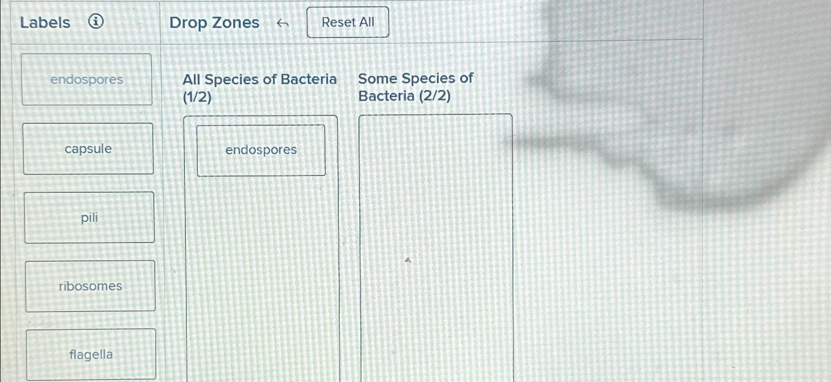 Solved Labels(i)Drop ZonesAll Species of Bacteria (1/2)Some | Chegg.com