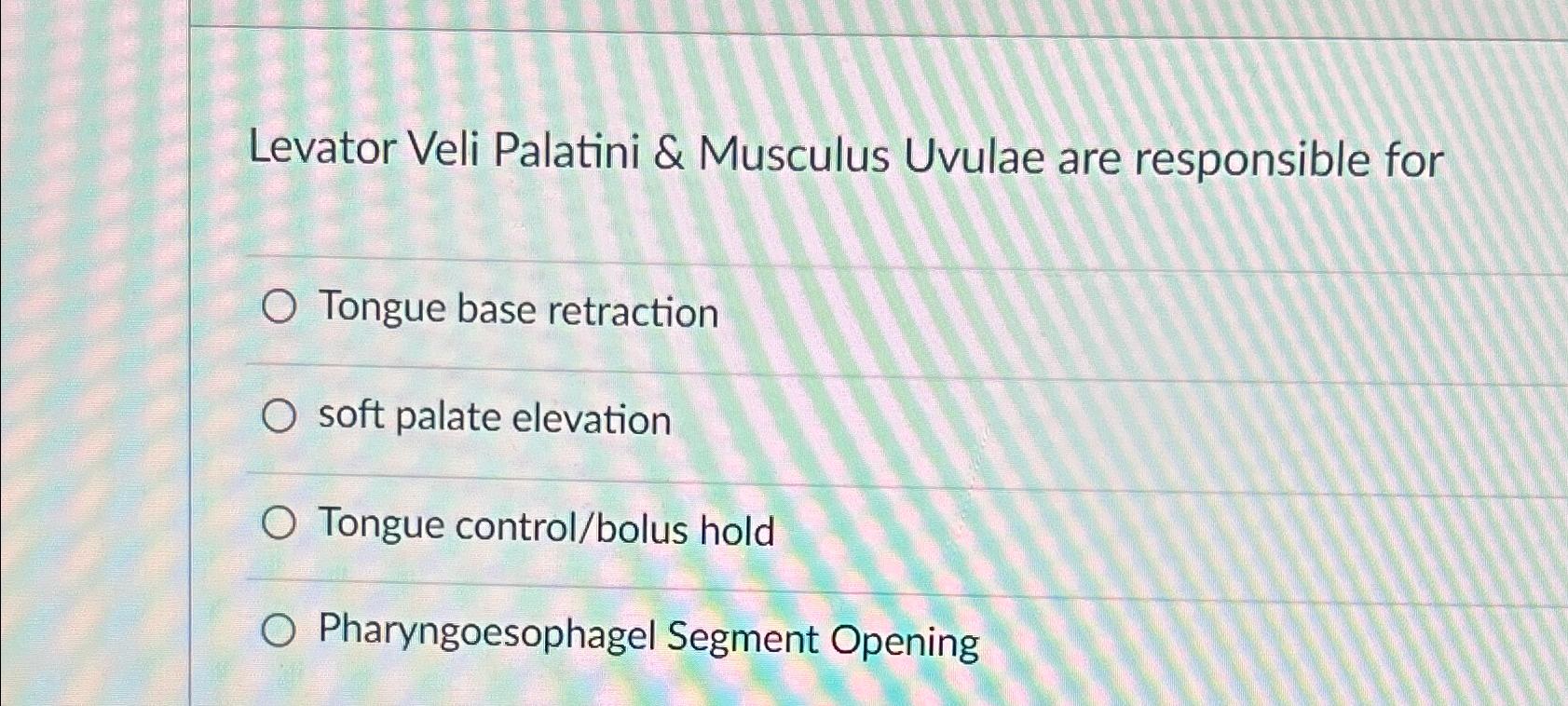 Solved Levator Veli Palatini & Musculus Uvulae are | Chegg.com