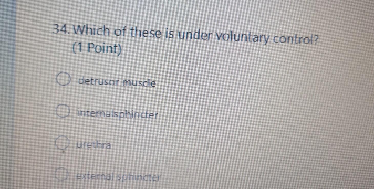 Solved 34. Which of these is under voluntary control? (1 | Chegg.com