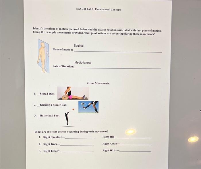 [Solved]: EXS 321 Lab 1: Foundational Concepts Identify the