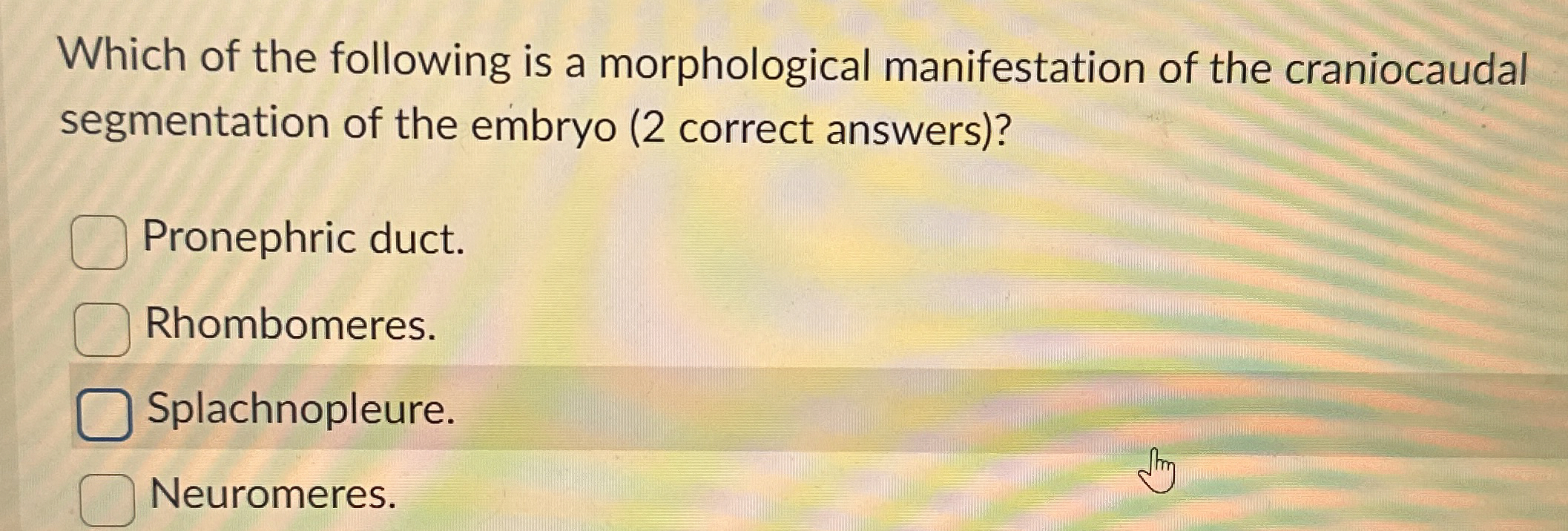 Solved Which of the following is a morphological | Chegg.com