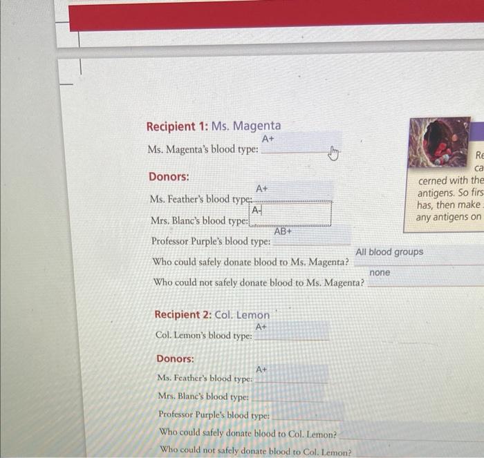 Solved Col. Lemon's blood type: Donors: Ms. Feather's blood | Chegg.com