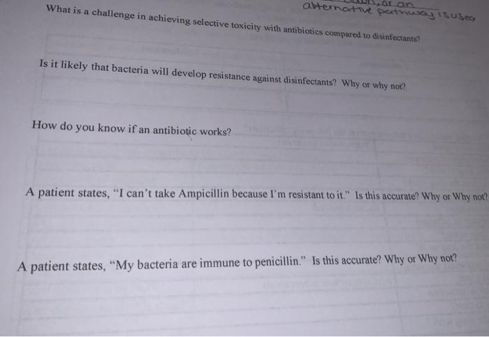 Solved What is a challenge in achieving selective toxicity | Chegg.com