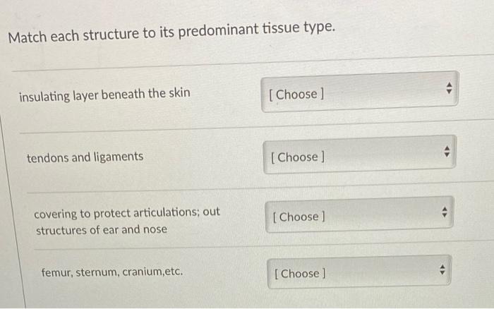 Solved Match each structure to its predominant tissue type. | Chegg.com