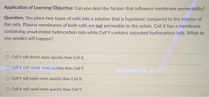 Solved Application of Learning Objective: Can you describe | Chegg.com