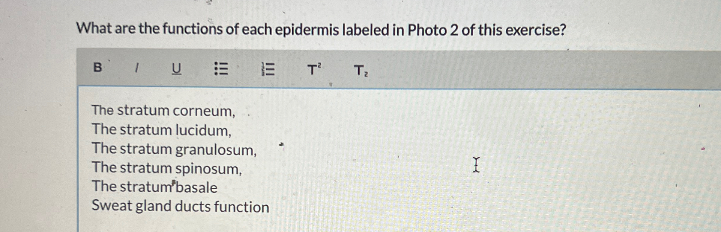 Solved What are the functions of each epidermis labeled in | Chegg.com