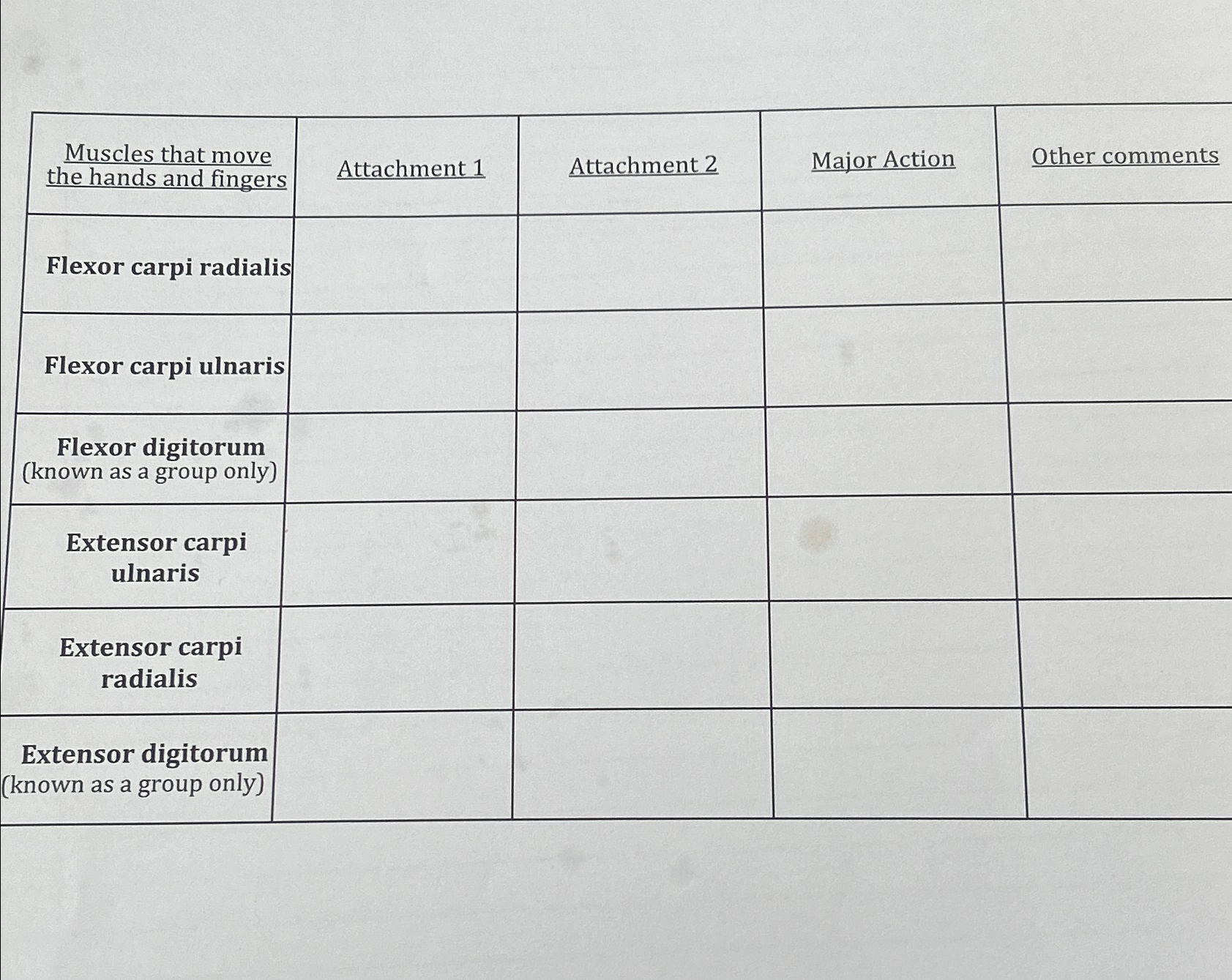 Solved \table[[\table[[Muscles that move],[the hands and | Chegg.com