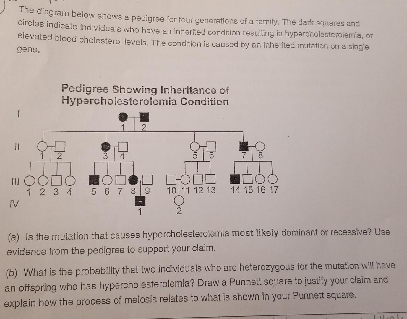 Solved The diagram below shows a pedigree for four | Chegg.com