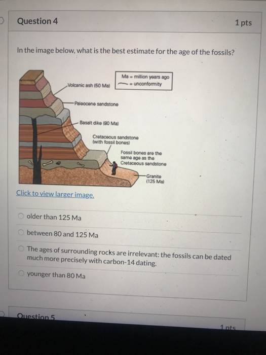 Solved Question 4 1 pts In the image below, what is the best | Chegg.com Solved Question 4 1 pts In the image below, what is the best | Chegg.com