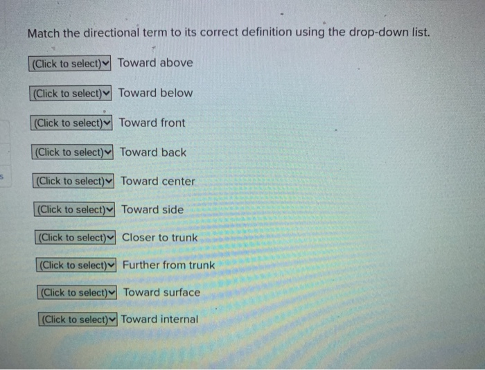 Match the directional term to its correct definition | Chegg.com