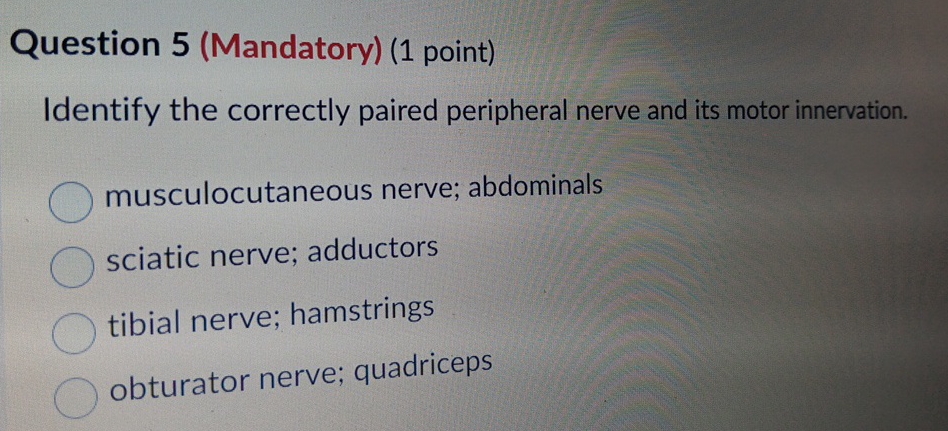 Solved Question 5 (Mandatory) (1 ﻿point)Identify the | Chegg.com