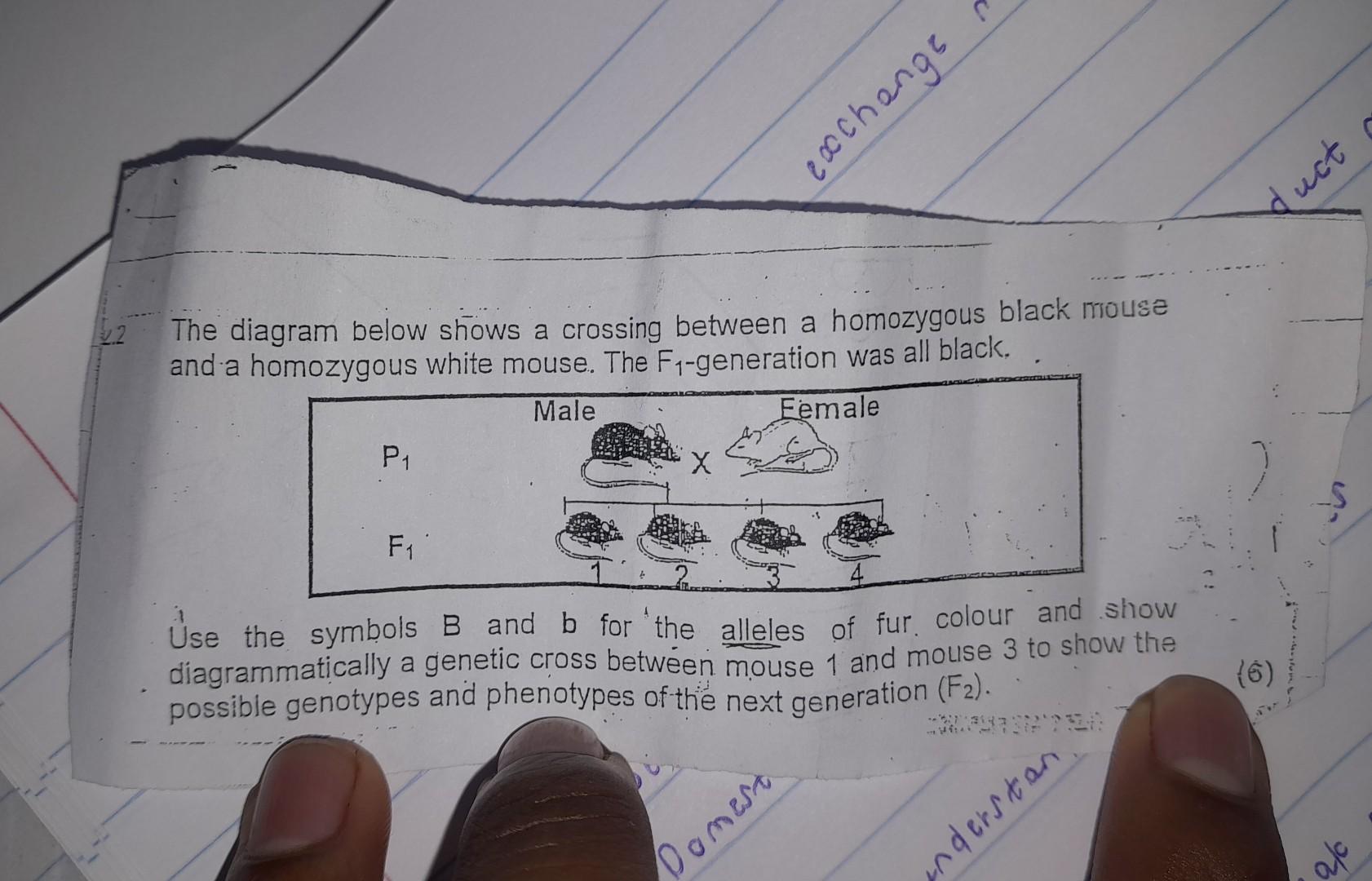 Solved The Diagram Below Shows A Crossing Between A