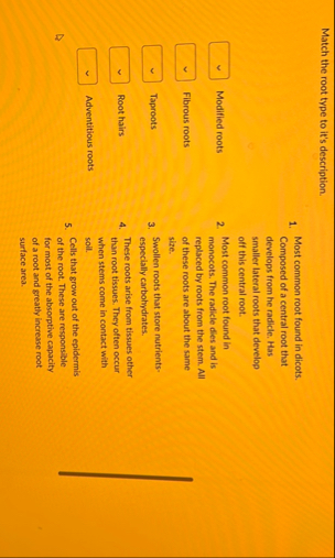 Solved Match the root type to it's description.Most common | Chegg.com