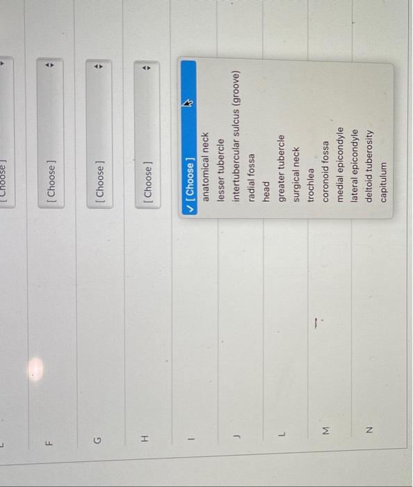 A [Choose] 4 B [Choose] C [Choose] D [ Choose] EF | Chegg.com