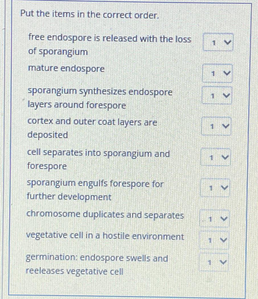 Solved Put the items in the correct order.free endospore is | Chegg.com