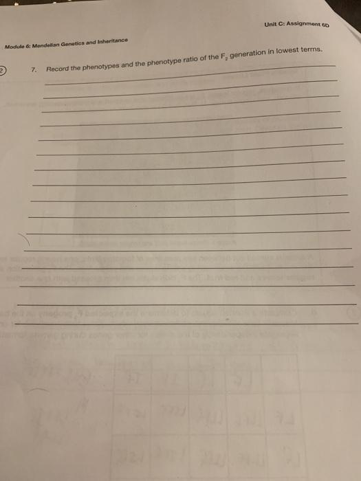 Solved Unit C: Assignments Module &: Mendelian Genetics and | Chegg.com