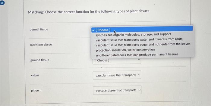 Solved Matching: Choose the correct function for the | Chegg.com