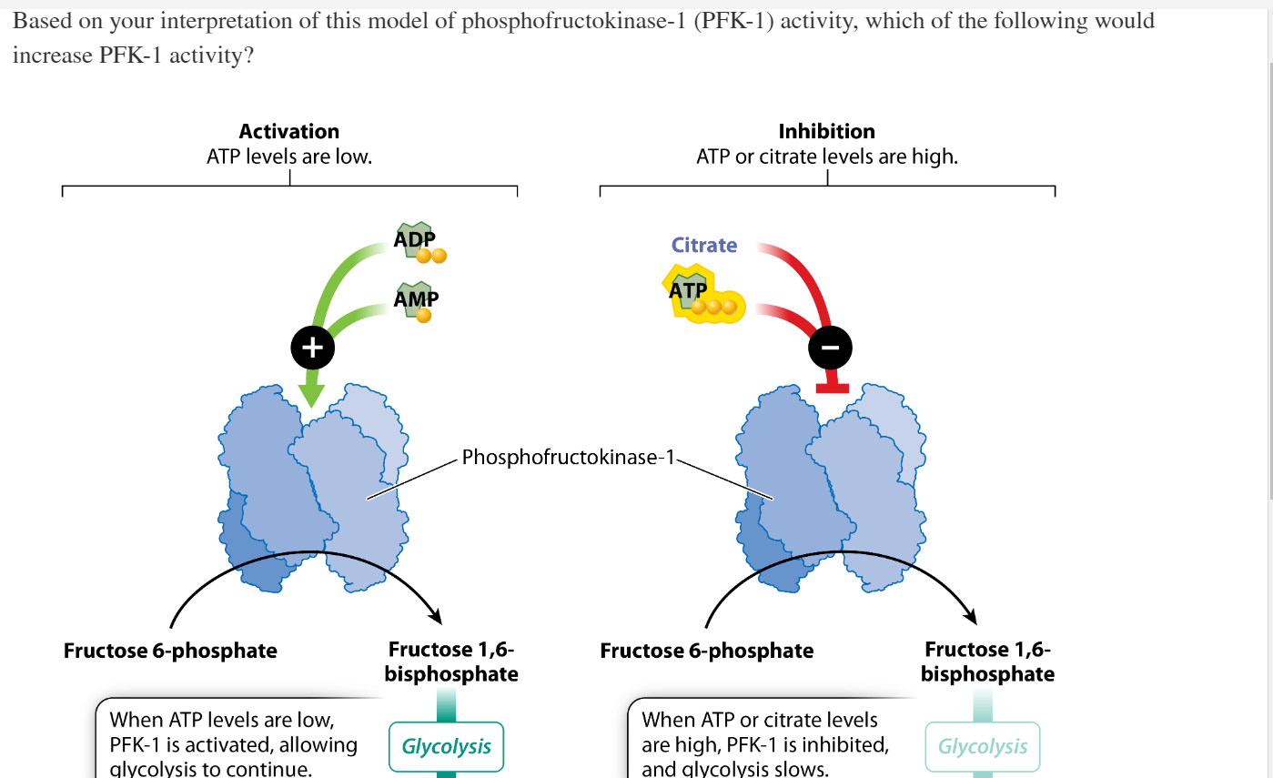 Solved Based on your interpretation of this model of | Chegg.com
