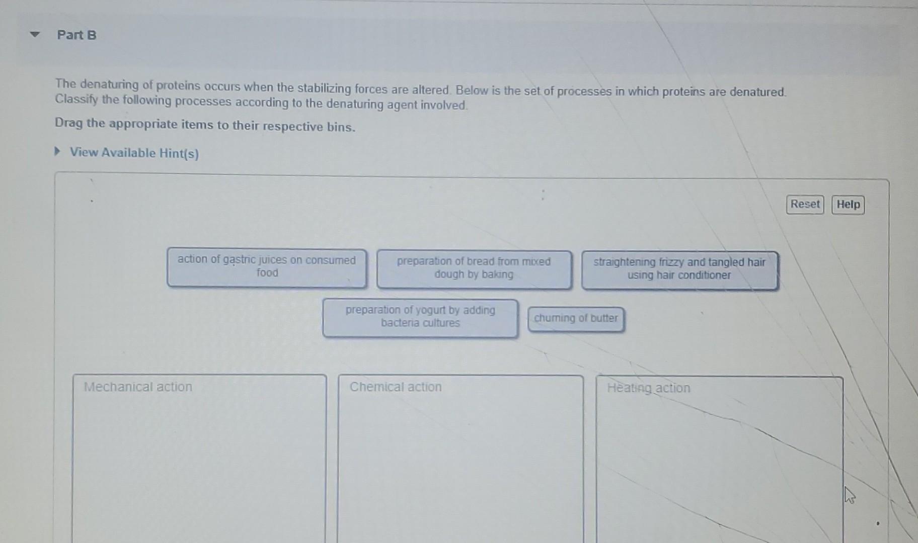 Solved The denaturing of proteins occurs when the | Chegg.com