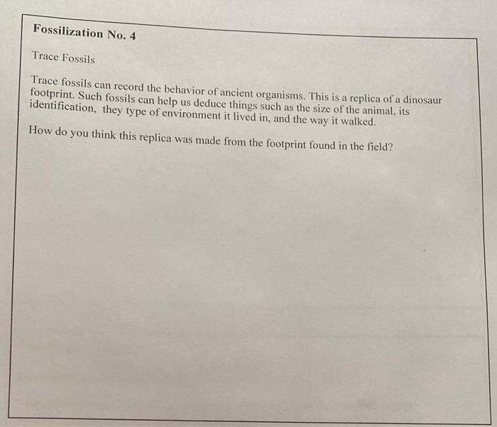 Solved Fossilization No. 2 Unaltered Hard Parts The most | Chegg.com