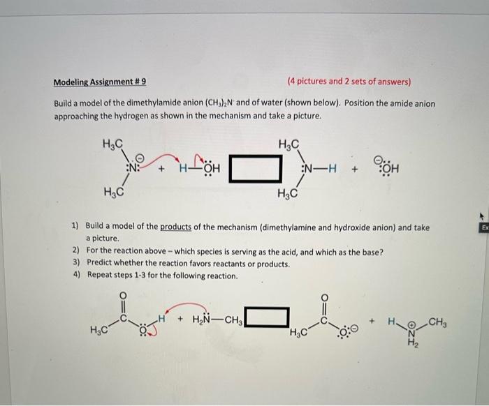 Solved Build a model of the dimethylamide anion (CH3)2 N and | Chegg.com