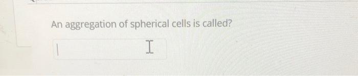 Solved An aggregation of spherical cells is called? | Chegg.com