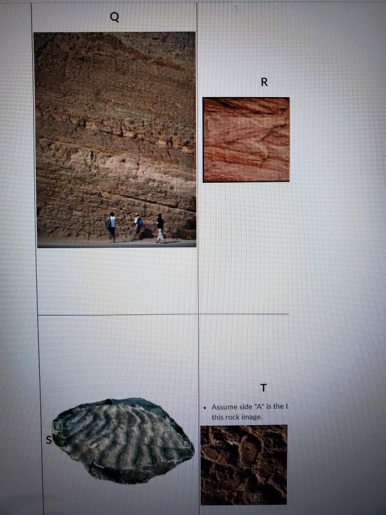 Solved Sample P. 2C: Interpreting Sedimentary Structures | Chegg.com