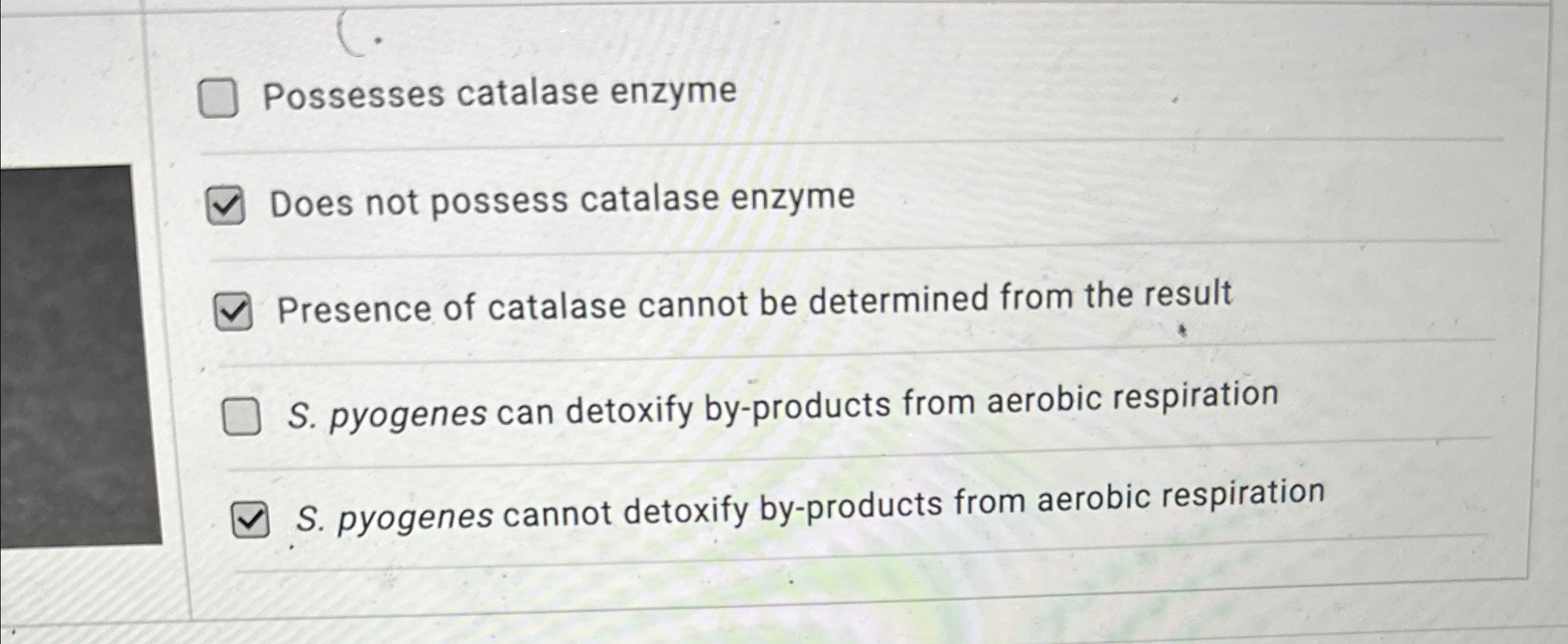 Solved Possesses catalase enzymeDoes not possess catalase | Chegg.com