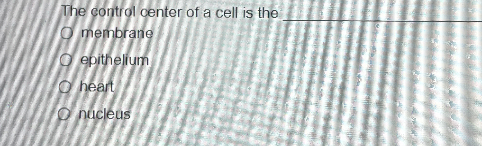 Solved The control center of a cell is the | Chegg.com