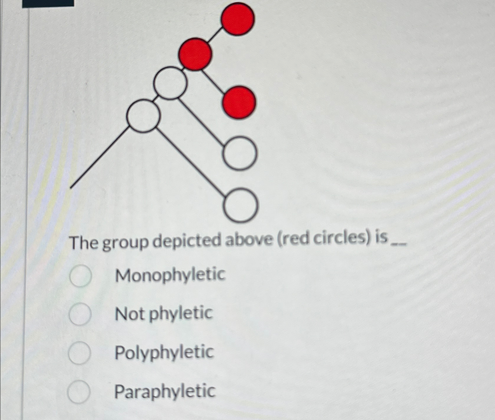 Solved The group depicted above (red circles) ﻿is | Chegg.com