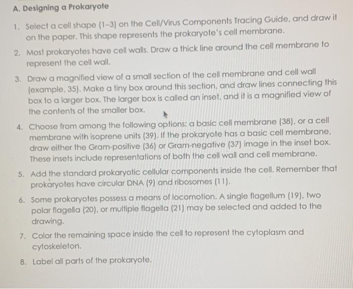 A. Designing a Prokaryote 1. Select a cell shape | Chegg.com