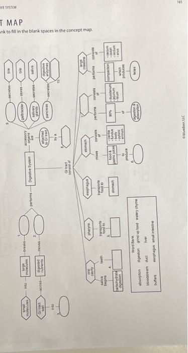 Solved ink to fill in the blank spoces in the concept map. | Chegg.com