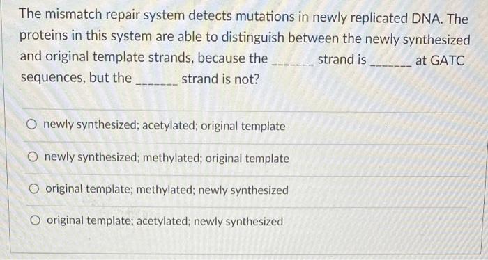 Solved The mismatch repair system detects mutations in newly | Chegg.com