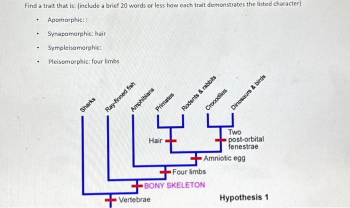 Solved Find a trait that is: (include a brief 20 words or | Chegg.com