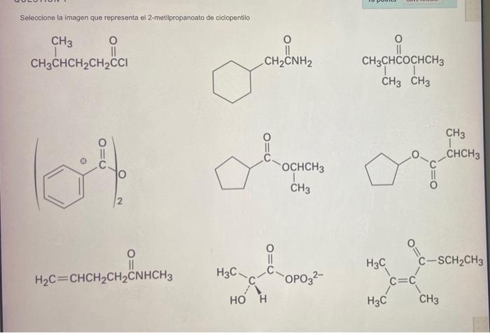 Solved Seleccione la imagen que representa el | Chegg.com