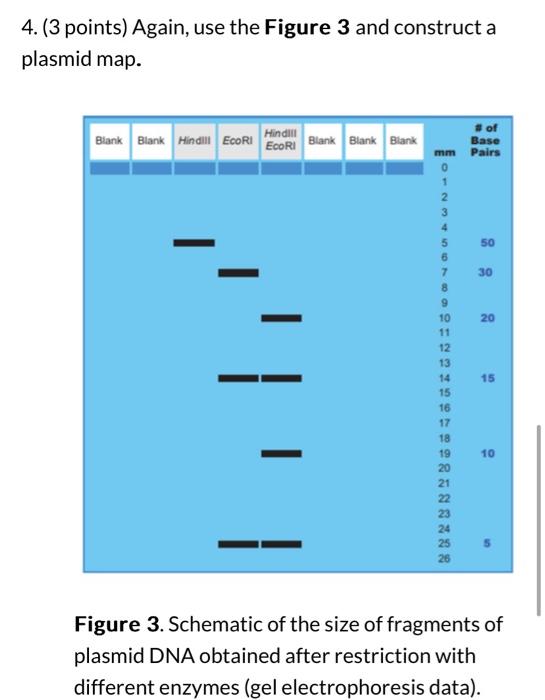 Solved 3. (3 points) Use the following figure (Figure 2 ) | Chegg.com