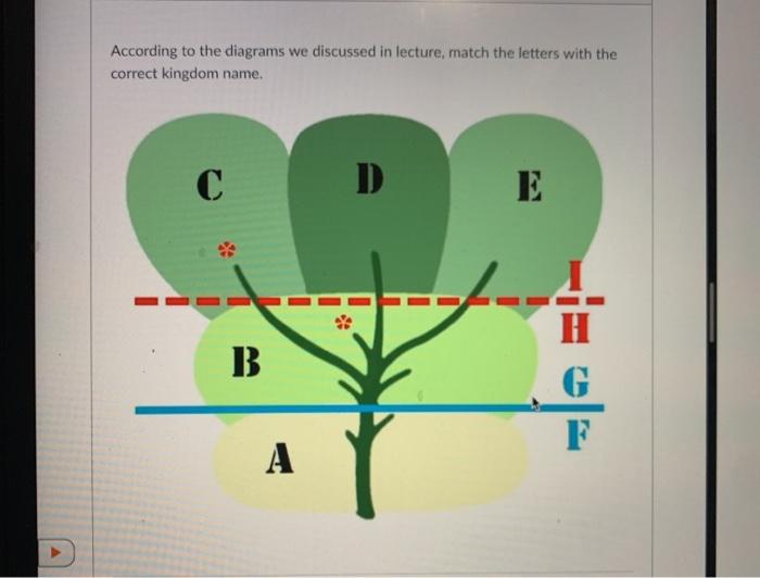 Solved According to the diagrams we discussed in lecture, | Chegg.com