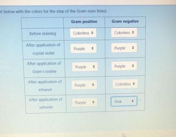 Solved at below with the colors for the step of the Gram | Chegg.com