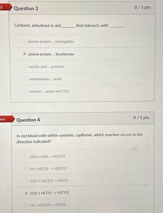 Solved Carbonic anhydrase is a(n) that interacts with plasma | Chegg.com