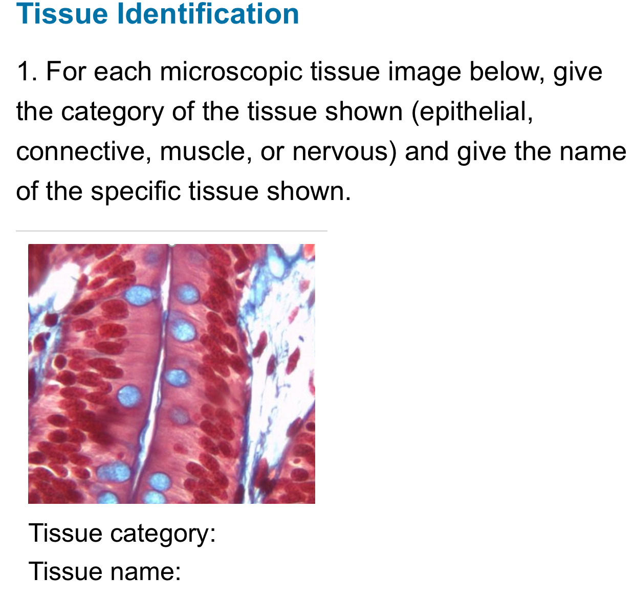 Solved Tissue IdentificationFor each microscopic tissue | Chegg.com