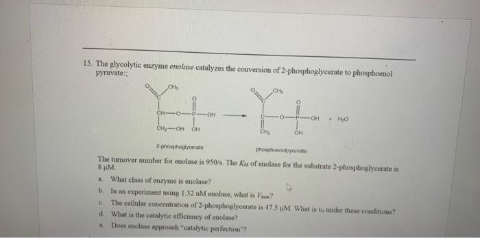 Solved 15. The glycolytic enzyme enolase catalyzes the | Chegg.com