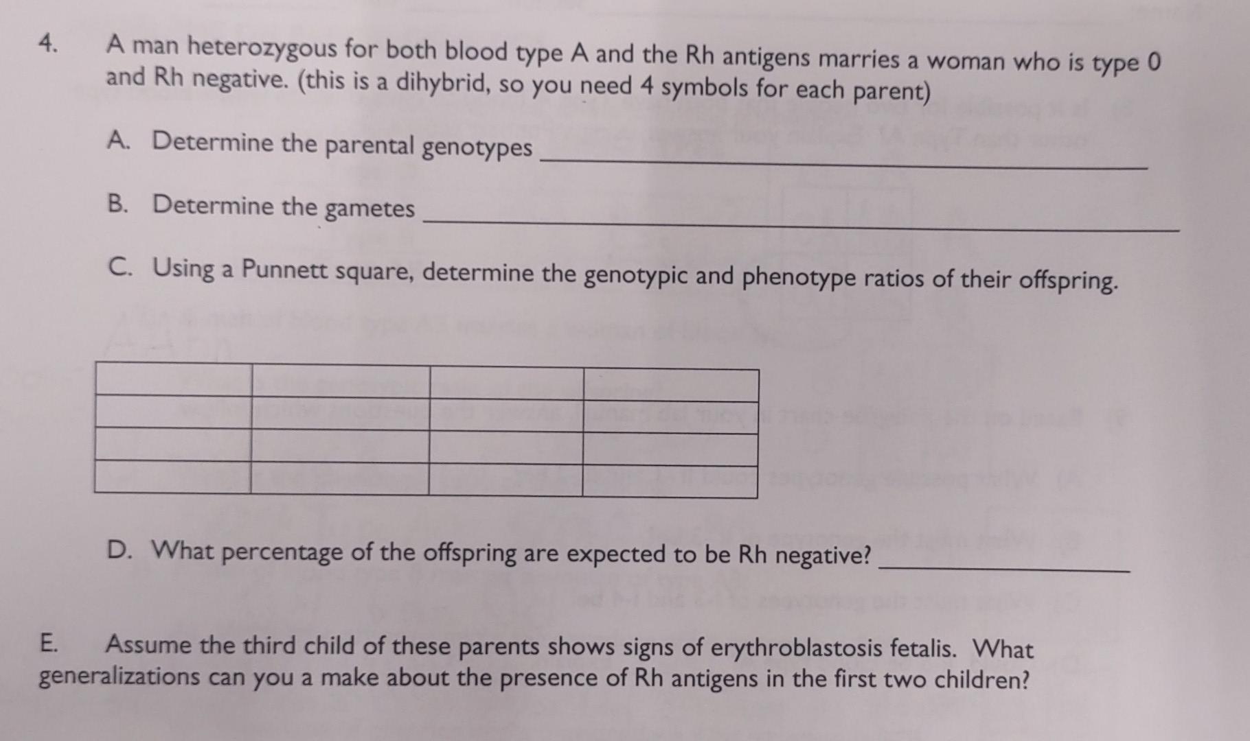 Solved A man heterozygous for both blood type A and the Rh | Chegg.com