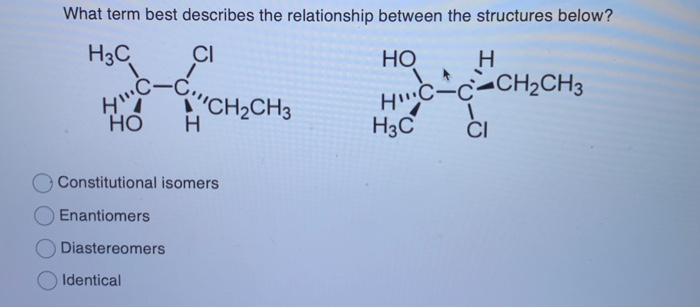 Solved What term best describes the relationship between the | Chegg.com